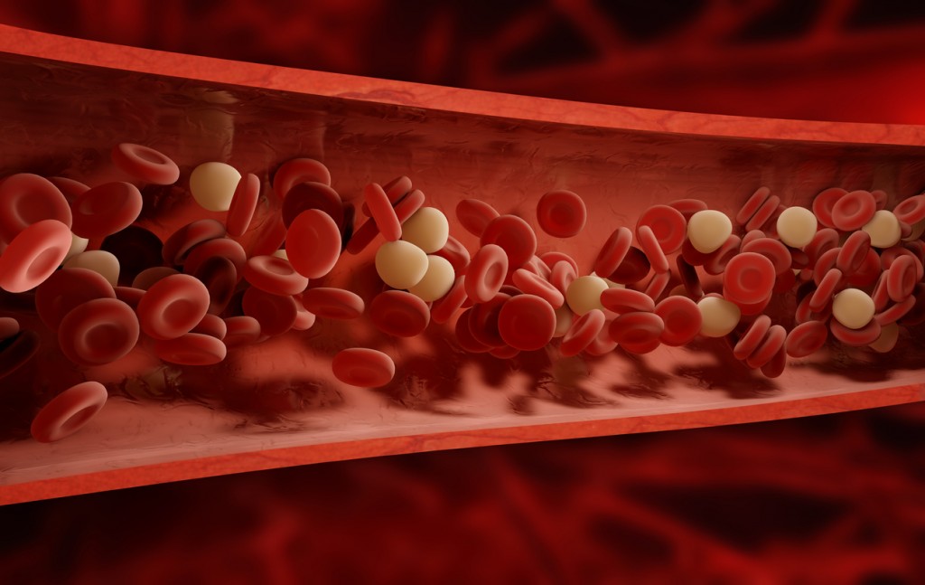 Facts about Diabetes and Poor Circulation | Creative Care